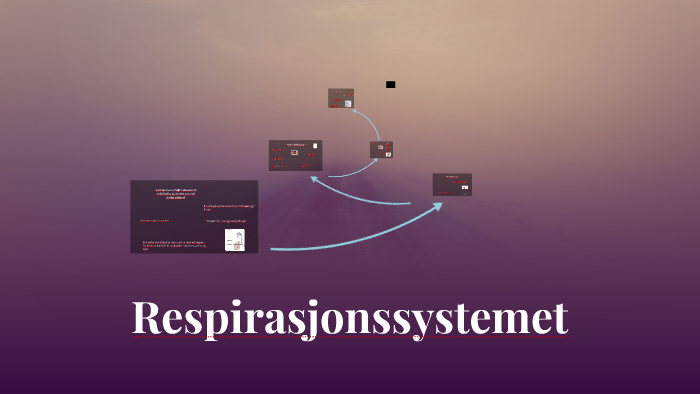 Respirasjonssystemet by Grete Løberg on Prezi