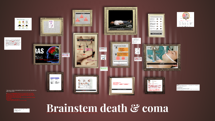 Brainstem death & coma by mina alemam on Prezi