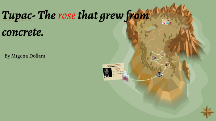 Tupac-The rose that grew from concrete by Migena Dollani on Prezi