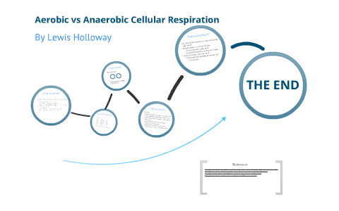 Aerobic vs. Anaerobic Cellular Respiration by Lewis Holloway on Prezi