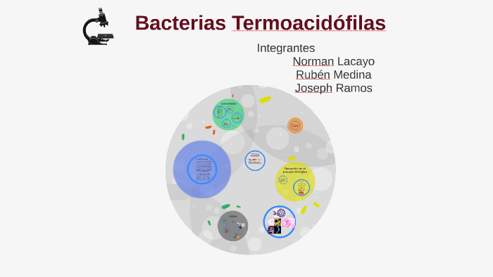 Bacterias Termoacidofilas by Ruben Medina Lopez on Prezi