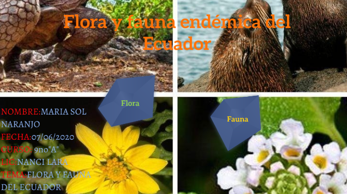 flora y fauna endemica del Ecuador by Maria Sol Naranjo Ponce on Prezi