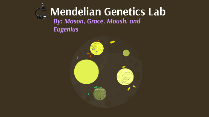 Mendelian Genetics Lab by Moush Mukherjee on Prezi