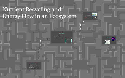 Nutrient Recycling and Energy Flow in an Ecosystem by jake bittick on Prezi