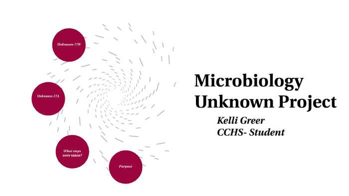 Microbiology Unknown Project by Kelli Greer on Prezi