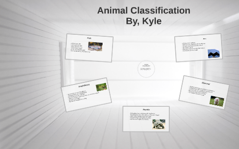 Animal Classification by Janet lalan on Prezi