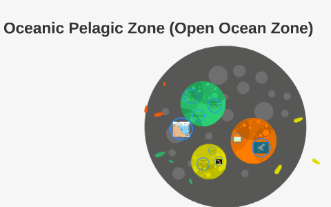 Oceanic Pelagic Zone (Open Ocean Zone) by kendall Mack on Prezi