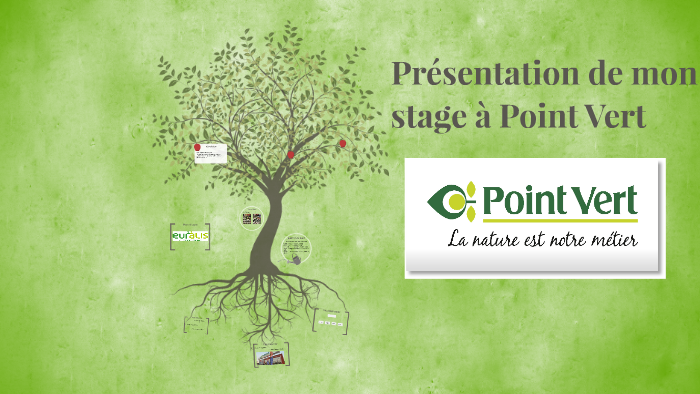Presentation de mon stage à Point Vert by Lucas Sainte-Cluque on Prezi