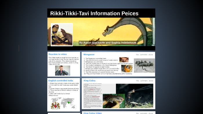 By Aaron Stackpole and Sophia Indebetouw by Aaron Stackpole on Prezi By Aaron Stackpole and Sophia Indebetouw by Aaron Stackpole on Prezi