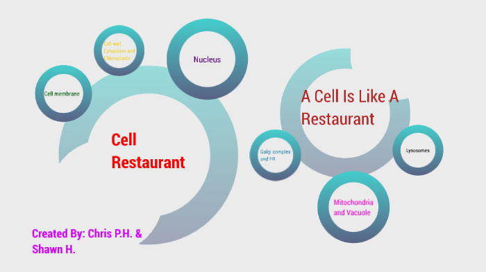 Cell Analogy; A cell is like a restaurant by Chris Pfefferle-Hermes on ...