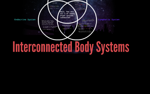 Interconnected Body Systems by Alex Woods on Prezi