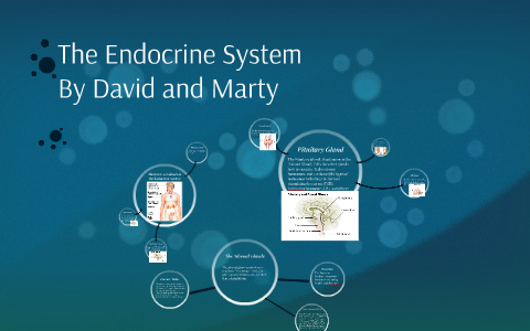 The Endocrine System by David Kahane