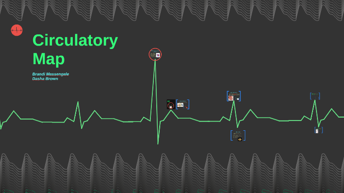 Circulatory Map by on Prezi