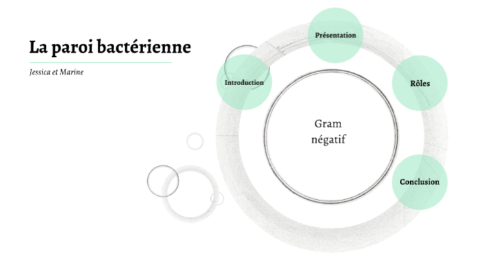 La paroi bactérienne gram négatif by Protein HMM on Prezi