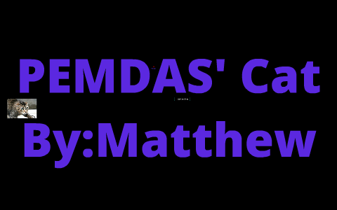 PEMDAS Cat by Matthew Yang on Prezi