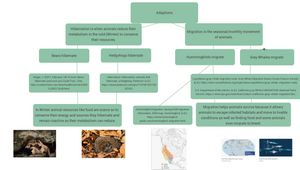 Module 11 Lesson Two Pathway Three Activity by Syriah Firms on Prezi Design