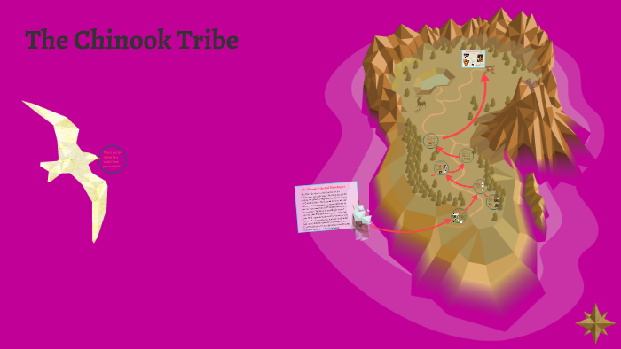 The Chinook Tribe by Allyson Adamsen on Prezi