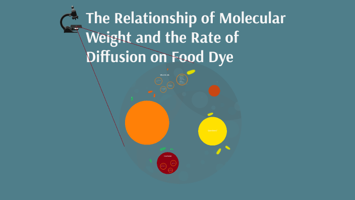 The Relationship of Molecular Weight and the Rate of Diffusion on Food ...