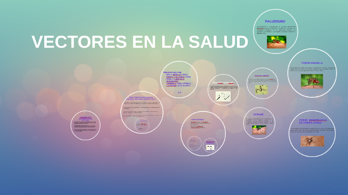 VECTORES EN LA SALUD by Daniela Velasco on Prezi