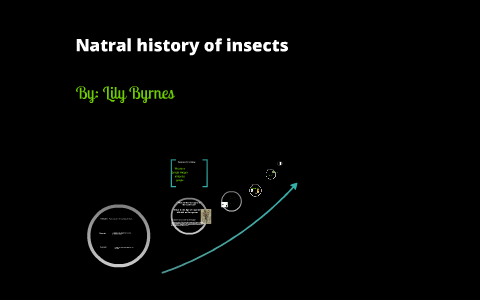Natural history of insects by lily bb on Prezi