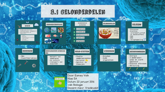 3.1 Celonderdelen by esmey volk on Prezi