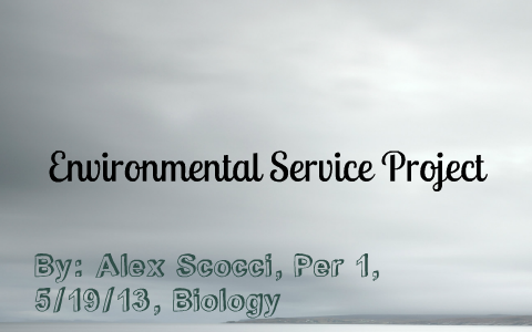 Environmental Service Project by Alex Scocci on Prezi