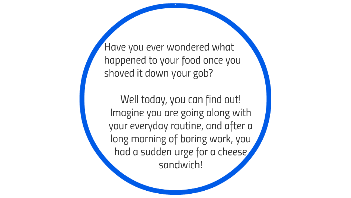 Have you ever wondered what happened to your food once you s by megan ...