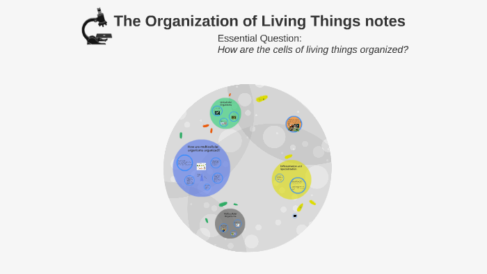 The Organization of Living Things notes by Renee Kozicki on Prezi