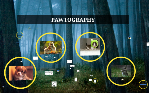 pawtography by Bhen Bunao on Prezi