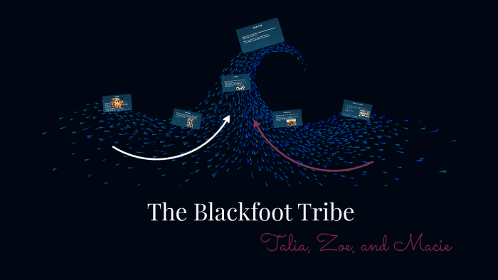 Daily life by macie chambers on Prezi