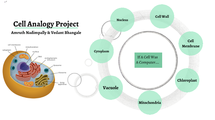 Cell Analogy Project by Amruth N on Prezi