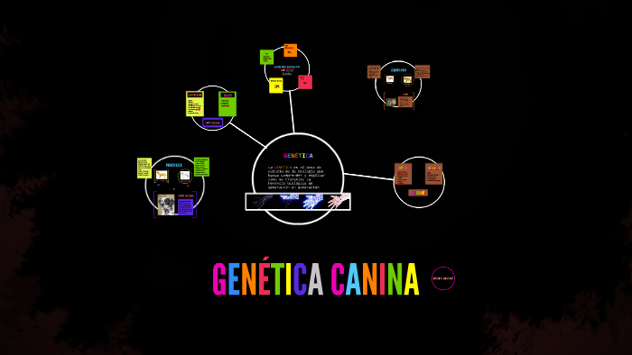 CRUCES GENETICOS DE RAZAS DE PERRO by Andres Gomez Victoria on Prezi