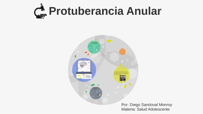 Protuberancia anular, pons o puente de Varolio by diego sandoval monroy ...