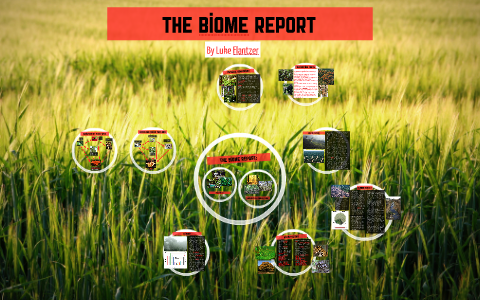 Biome Compare and Contrast by Luke Flantzer on Prezi