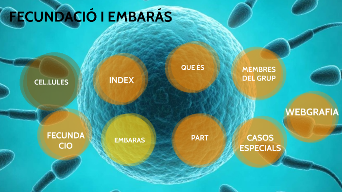 fecundacio i embaras by Joel Hernández Soto on Prezi