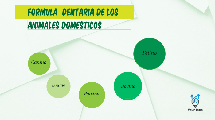 Formula dentaria de los animales domesticos by Camila Enriquez on Prezi