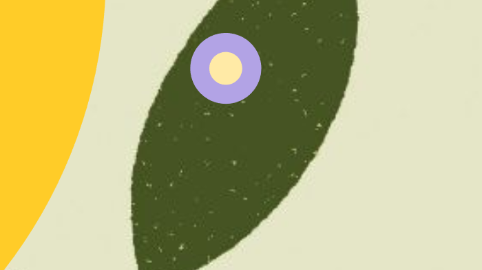 Family Tree by Damariz Jaramillo on Prezi