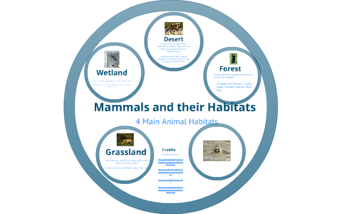 Mammals and their Habitats by Julianne Mendonca on Prezi