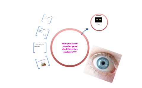 Pourquoi avons-nous les yeux de différentes couleurs ??? by oceane ...