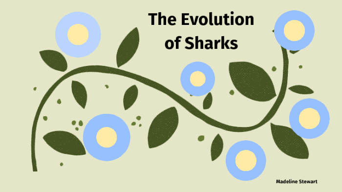 Evolution of Sharks Timeline by Rainbowbacon ! on Prezi