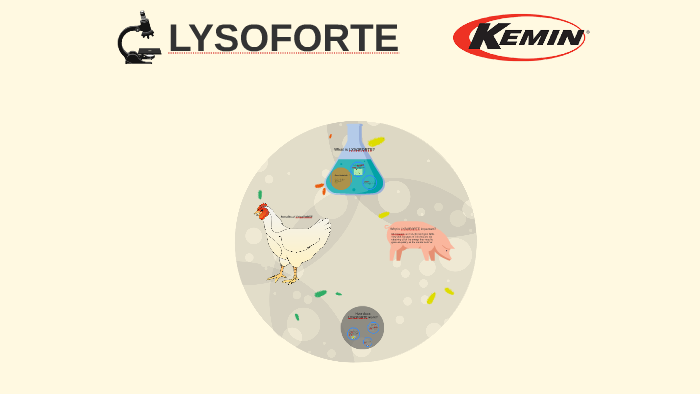LYSOFORTE by Victoria Lentz on Prezi