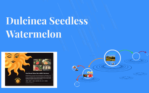 Dulcinea Seedless Watermelon by DeVaughn Walker