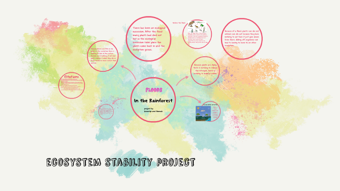 Ecosystem Stability Project By Hannah Melban ecosystem-stability-project-by-hannah-melban