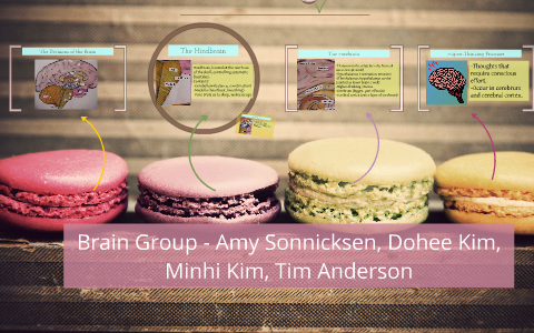 Brain Group - Amy Sonnicksen, Dohee Kim, Minhi Kim, Tim Ande by Dohee ...
