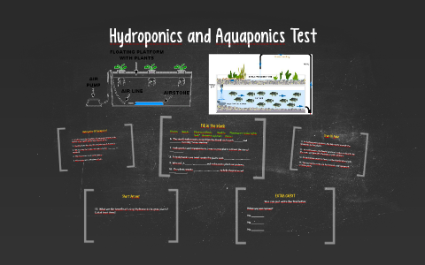 Hydroponics and Aquaponics Test by Samantha Einarsson on Prezi