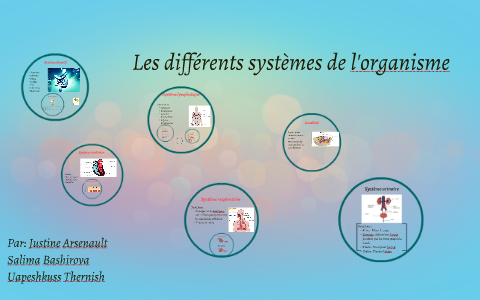 Les différents systèmes de l'organisme by justine arsenault on Prezi