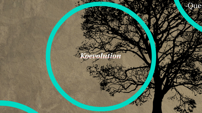 Koevolution by on Prezi