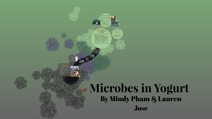 Microbes in Yogurt by Mindy Pham on Prezi