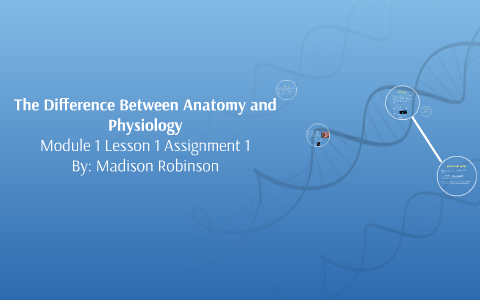 The Difference Between Anatomy and Physiology by madison robinson on Prezi