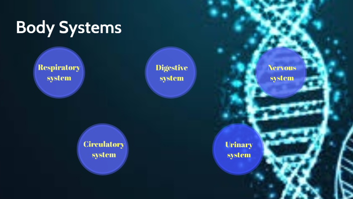 Body systems by john im on Prezi
